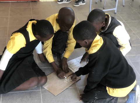 Programs | meerkatlearning.org